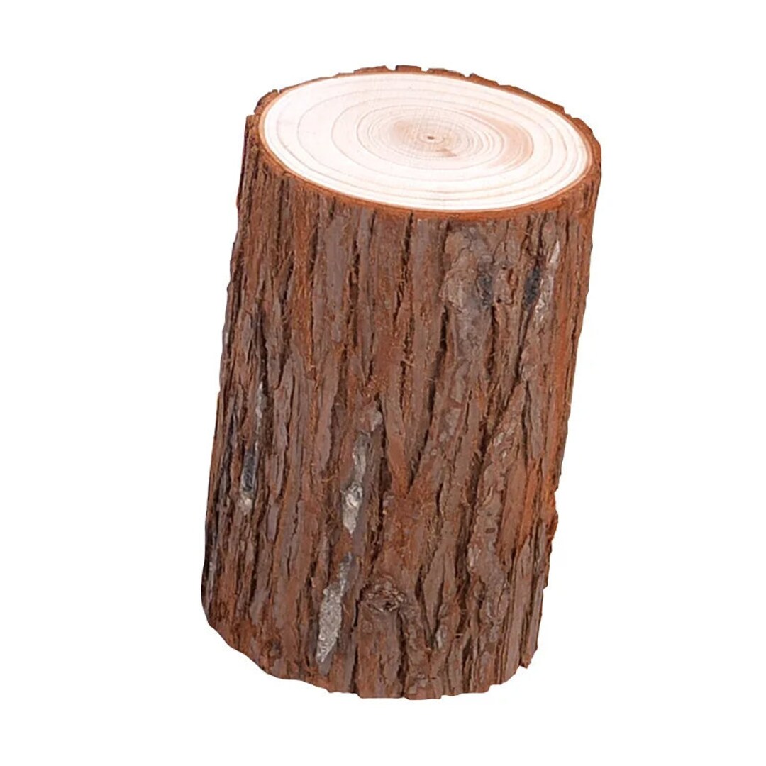 Blank Wood Stump Log, Unfinished Wood Tree Cutout, for DIY Craft, Photo ...