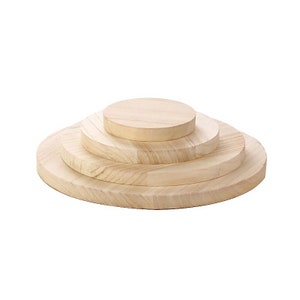 Round Wood Circles 10pcs 1cm Thick DIY Solid Wooden Rounds for Painting ...