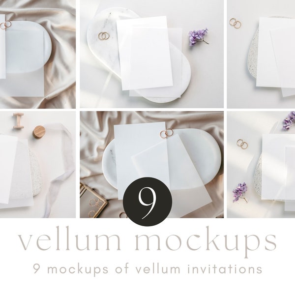 Vellum Invitation - Etsy