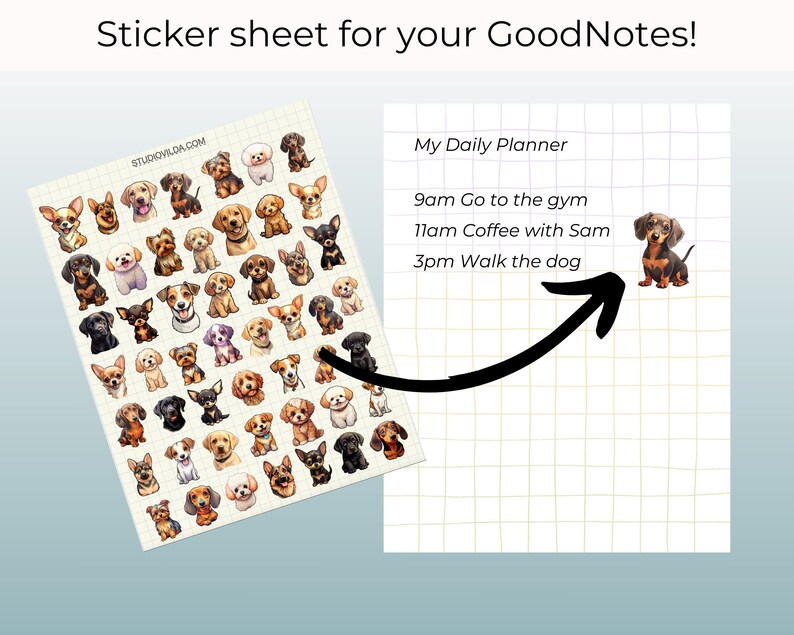 Cute Dogs Clipart, Goodnotes Sticker Sheet and 50 Transparent Cartoon ...