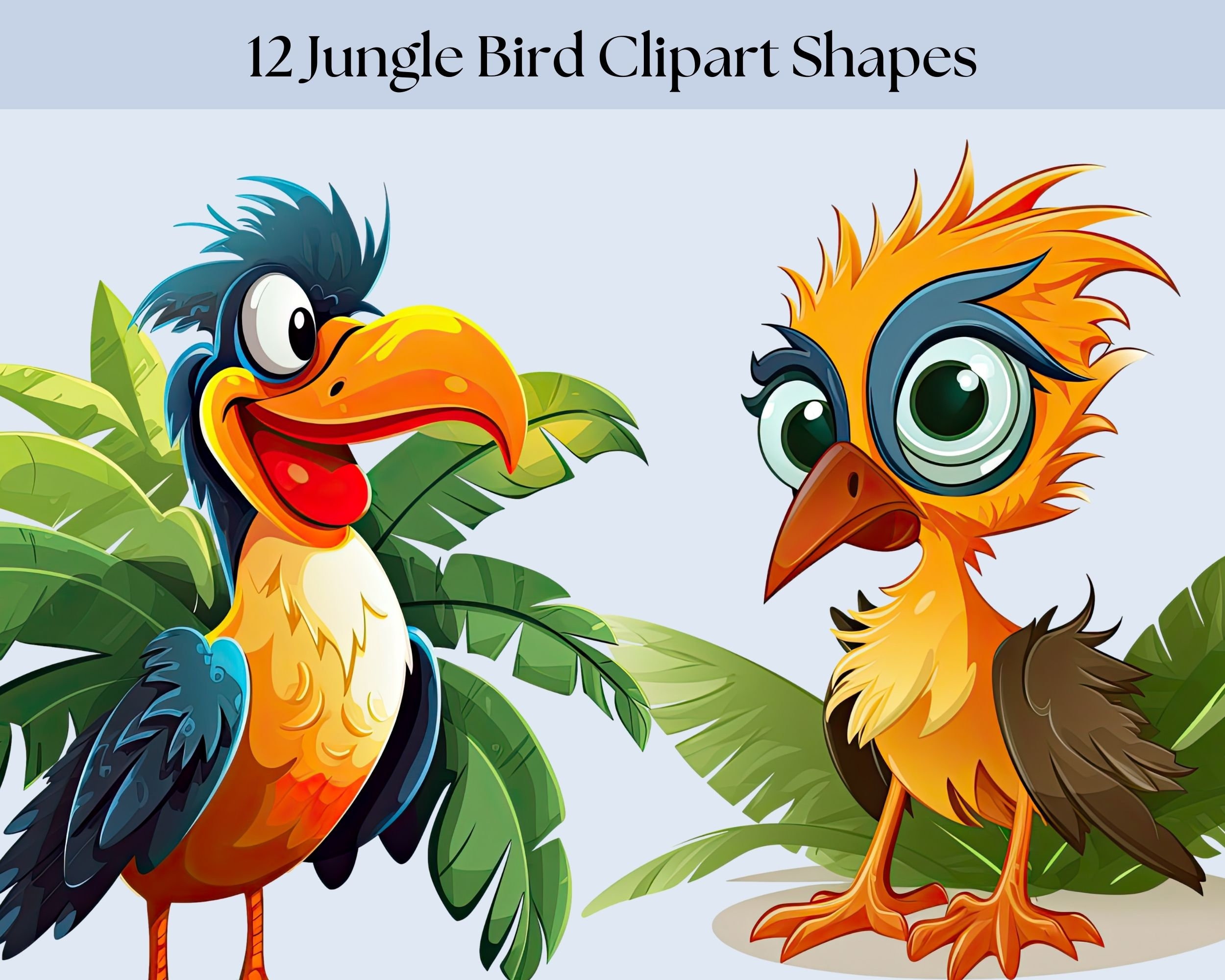 Jungle Birds Clipart Funny Cartoon Style Transparent PNG - Etsy
