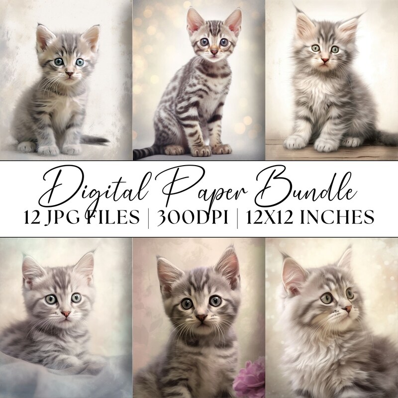 Kitten Clip Art - Etsy