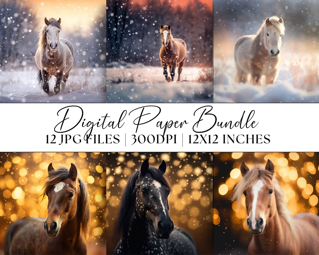 Snowy Horses Digital Paper Bokeh Photo Effect Printable - Etsy