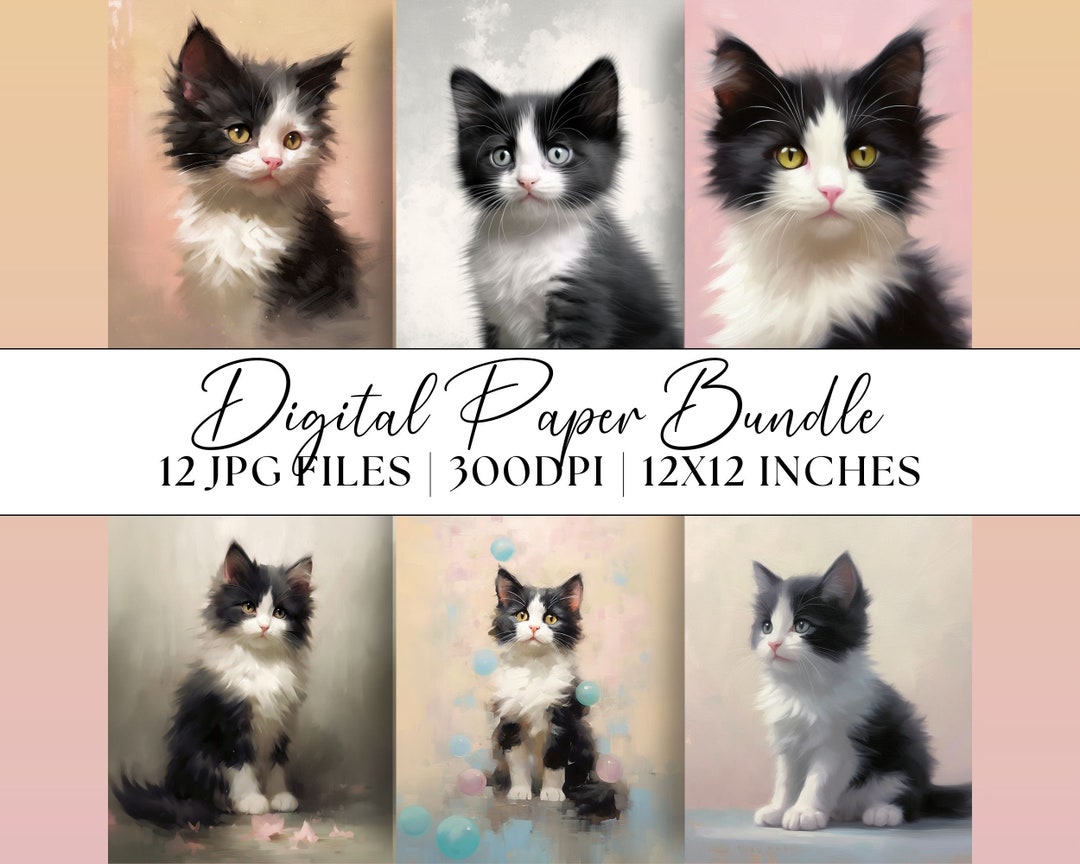 Tuxedo Kittens Digital Paper, Cute Kitty Printable Backgrounds, Black ...