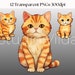 Ginger Cats Clipart, Cartoon Style Kittens Transparent 12x PNG Shapes ...