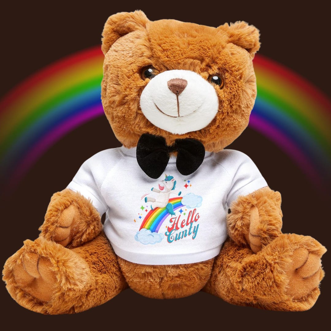 RUDE Teddy Bear With Offensive T-shirt | LGBTQ Toy | Gay Gift | Funny ...
