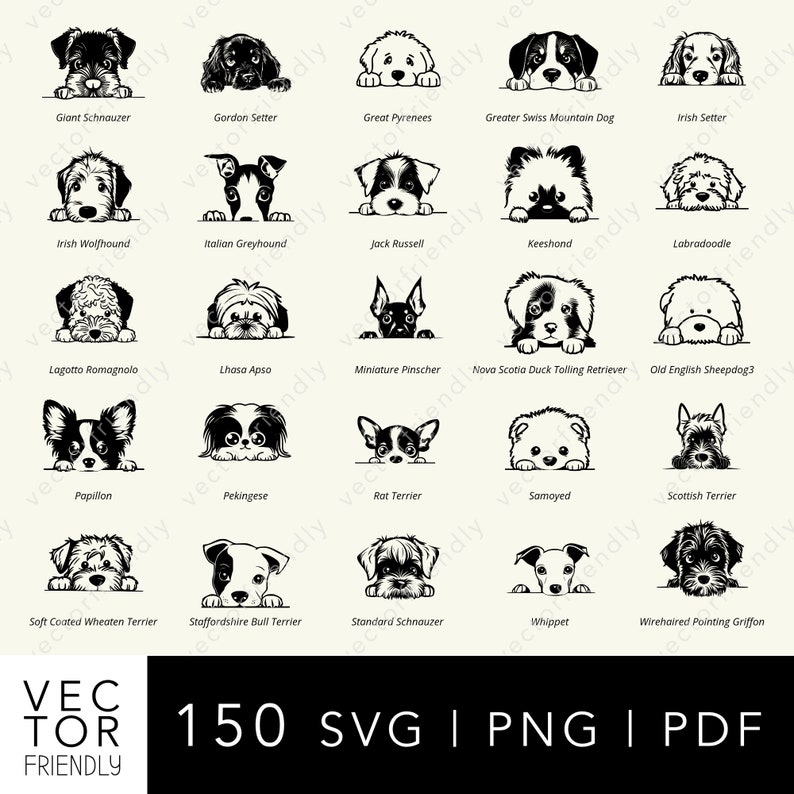 Puppy SVG Bundle 2, Puppy Breed SVG Bundle, Puppy Face SVG, Puppy Head ...