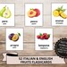 Italian & English Fruit Flashcards, Bilingual Learning (printable PDF ...