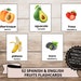 Spanish & English Fruit Flashcards, Bilingual Learning (printable) - Etsy