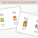 Portuguese & English ABC Flashcards, Printable Bilingual Alphabet ...