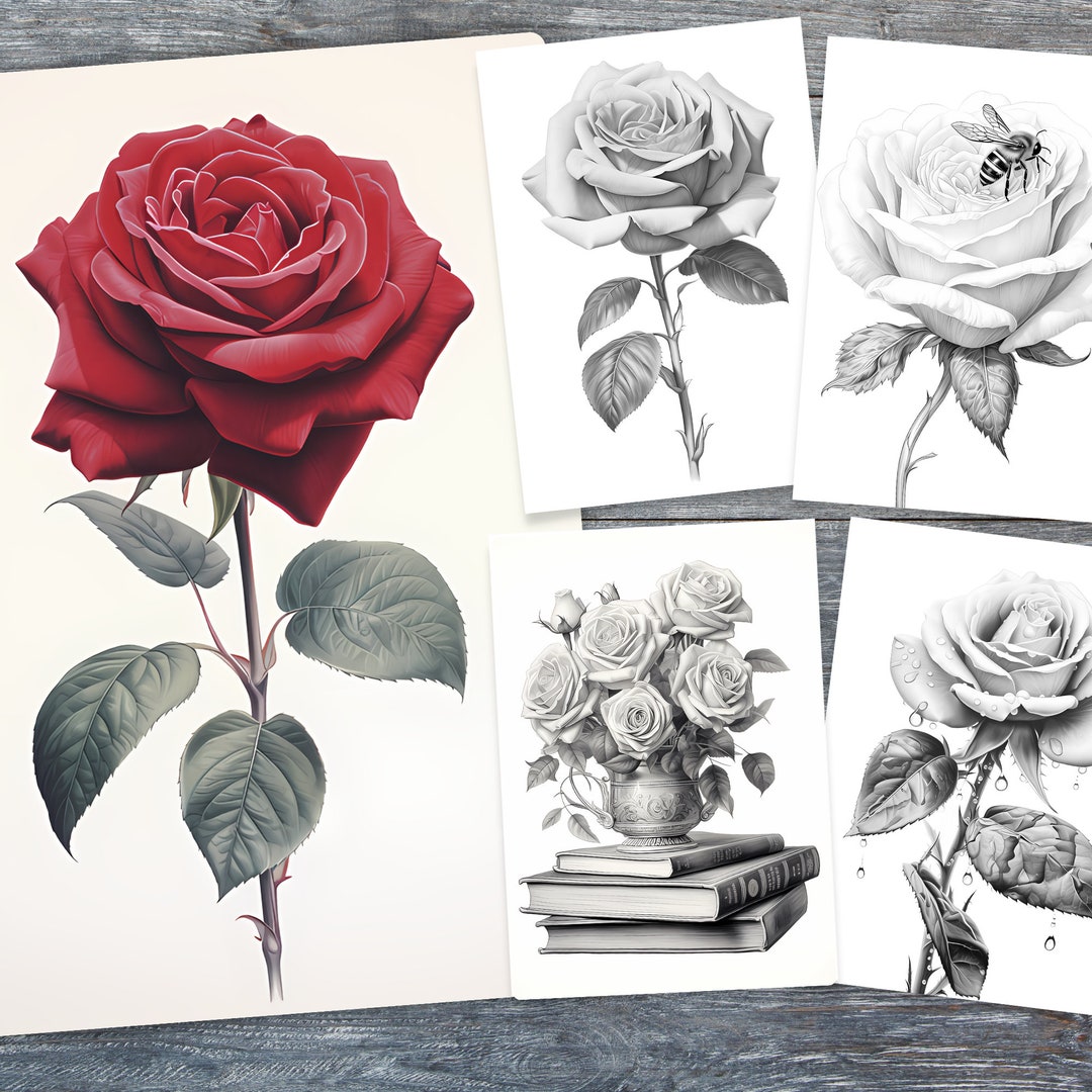 Roses Coloring Book, Printable Coloring Pages for Adults, Grayscale ...