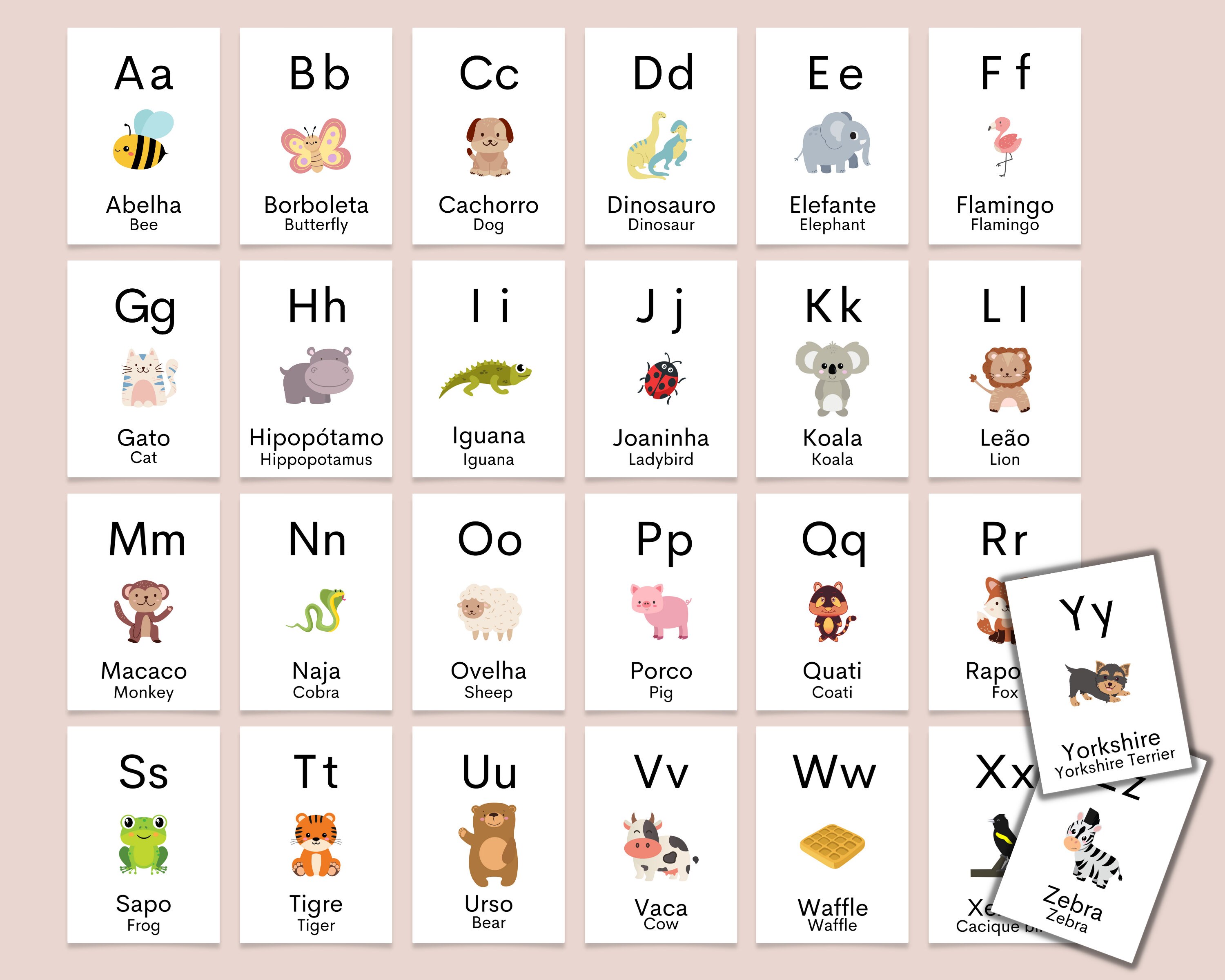 Portuguese & English ABC Flashcards, Printable Bilingual Alphabet ...