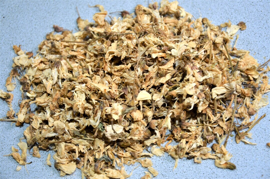 Handpicked Acacia Flowers | Wattle Flower | Wildcrafted Herbal Tea ...