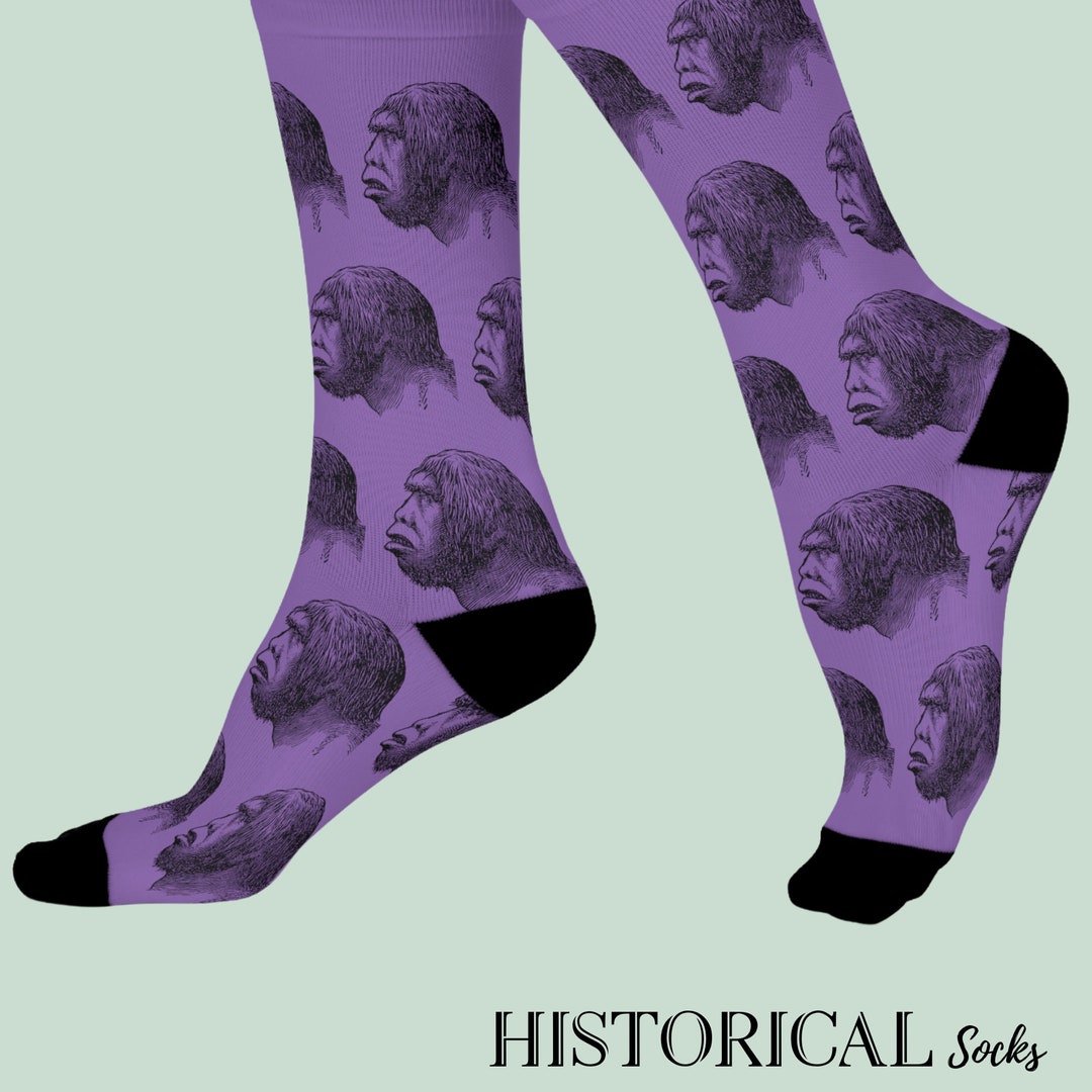 Neanderthal Socks Human History Ancient Purple Socks - Etsy