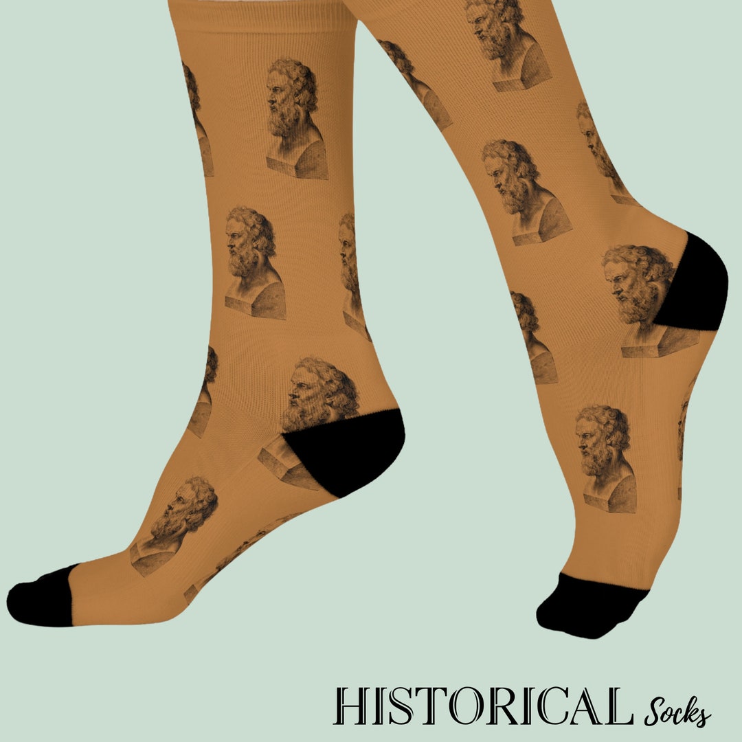 Plato Greek Philosopher Platonism Ancient Greece History Brown Socks ...