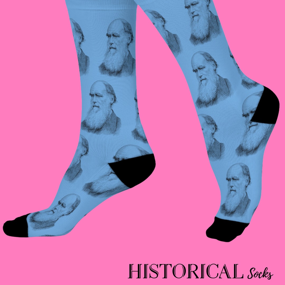 Charles Darwin Socks Gift Evolution Bust Blue Socks - Etsy