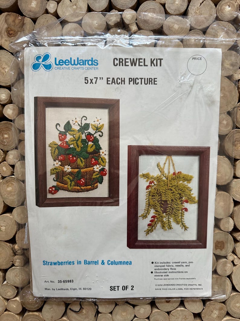 Strawberries and Columnea Crewel Kit - Etsy