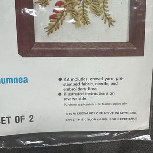 Strawberries and Columnea Crewel Kit - Etsy