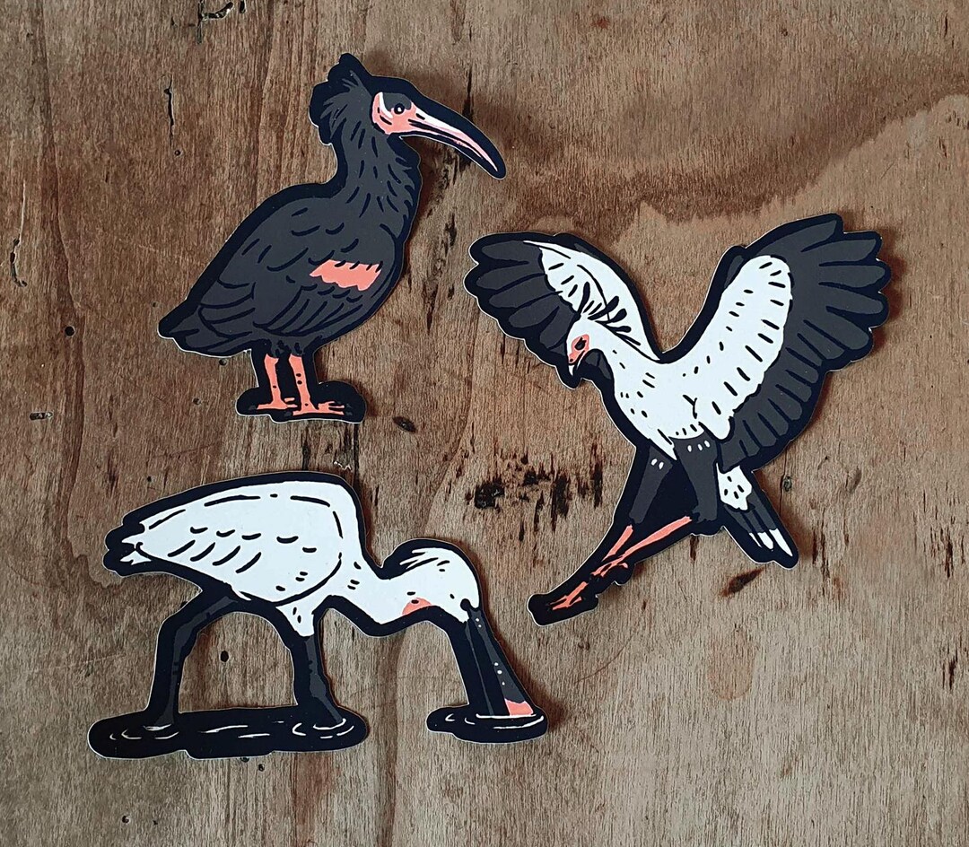 Matte Bird Stickers: Spoonbill, Waldrapp & Secretary Bird - Etsy