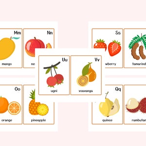 Learning Cards Toddler Montessori, Fruit Vegetables Cards, Montessori ...