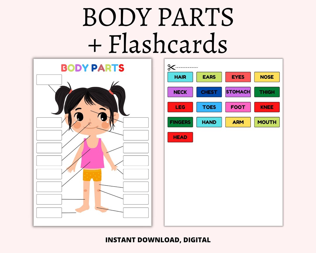 Body Parts Matching Game, Busy Bundle, Printable Montessori Materials ...