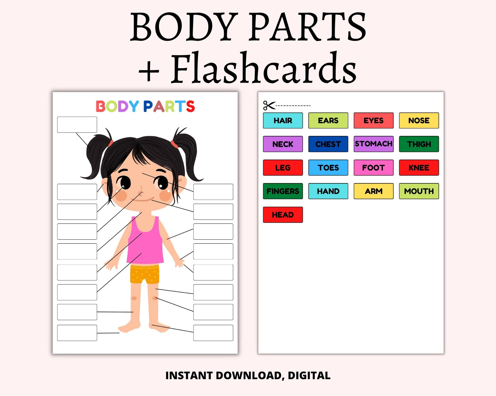Body Parts Matching Game, Busy Bundle, Printable Montessori Materials ...
