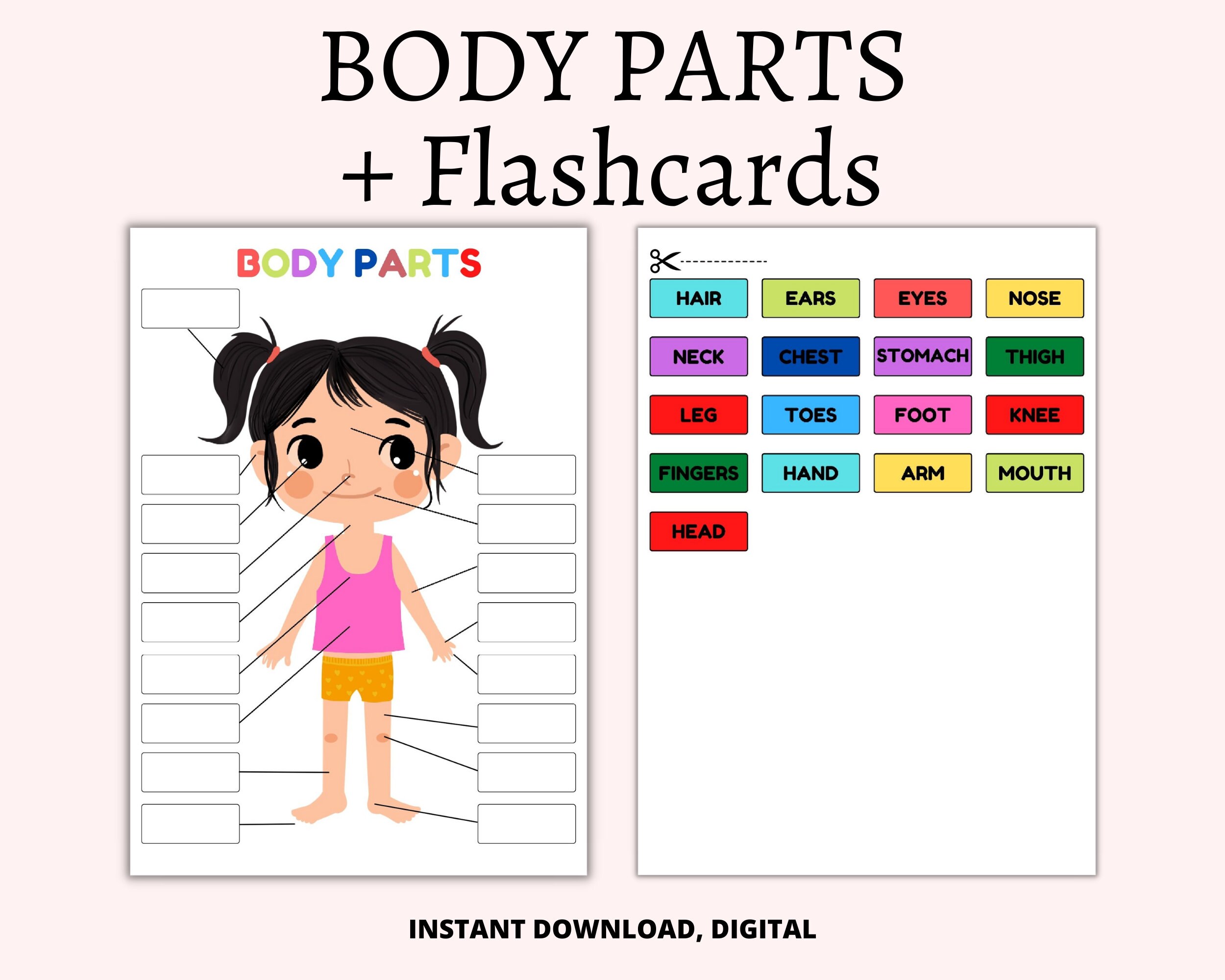 Body Parts Matching Game, Busy Bundle, Printable Montessori Materials ...