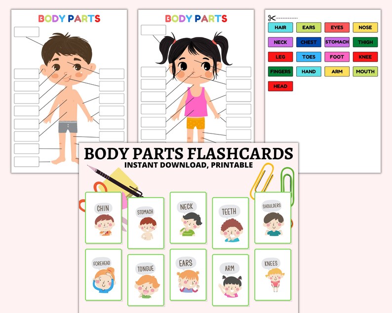 Body Parts Matching Game, Busy Bundle, Printable Montessori Materials ...