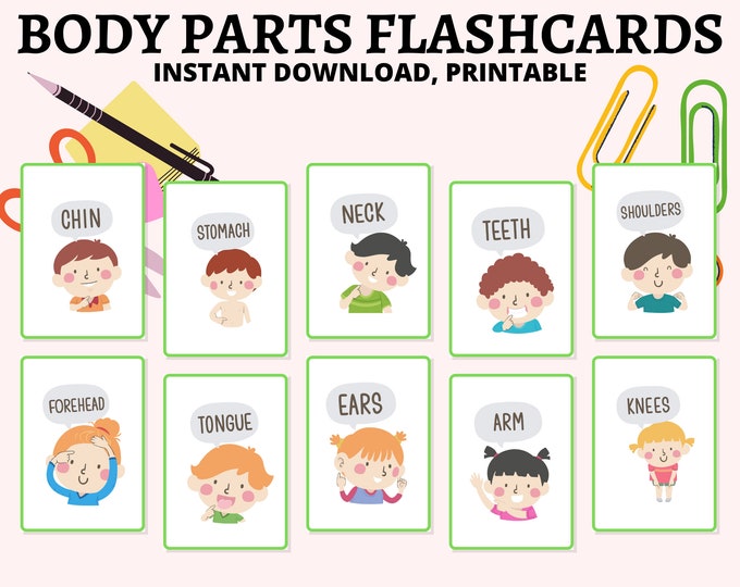 Human Anatomy Activity, Homeschool Montessori Materials, Printable ...