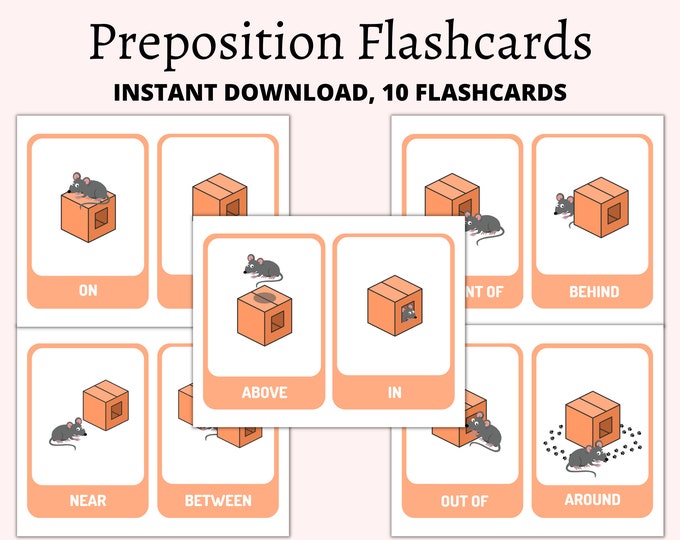 Preposition Activity. Visual Instructions. Boardmaker PSC. Hand-on ...