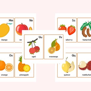 Learning Cards Toddler Montessori, Fruit Cards, Montessori Flashcards ...