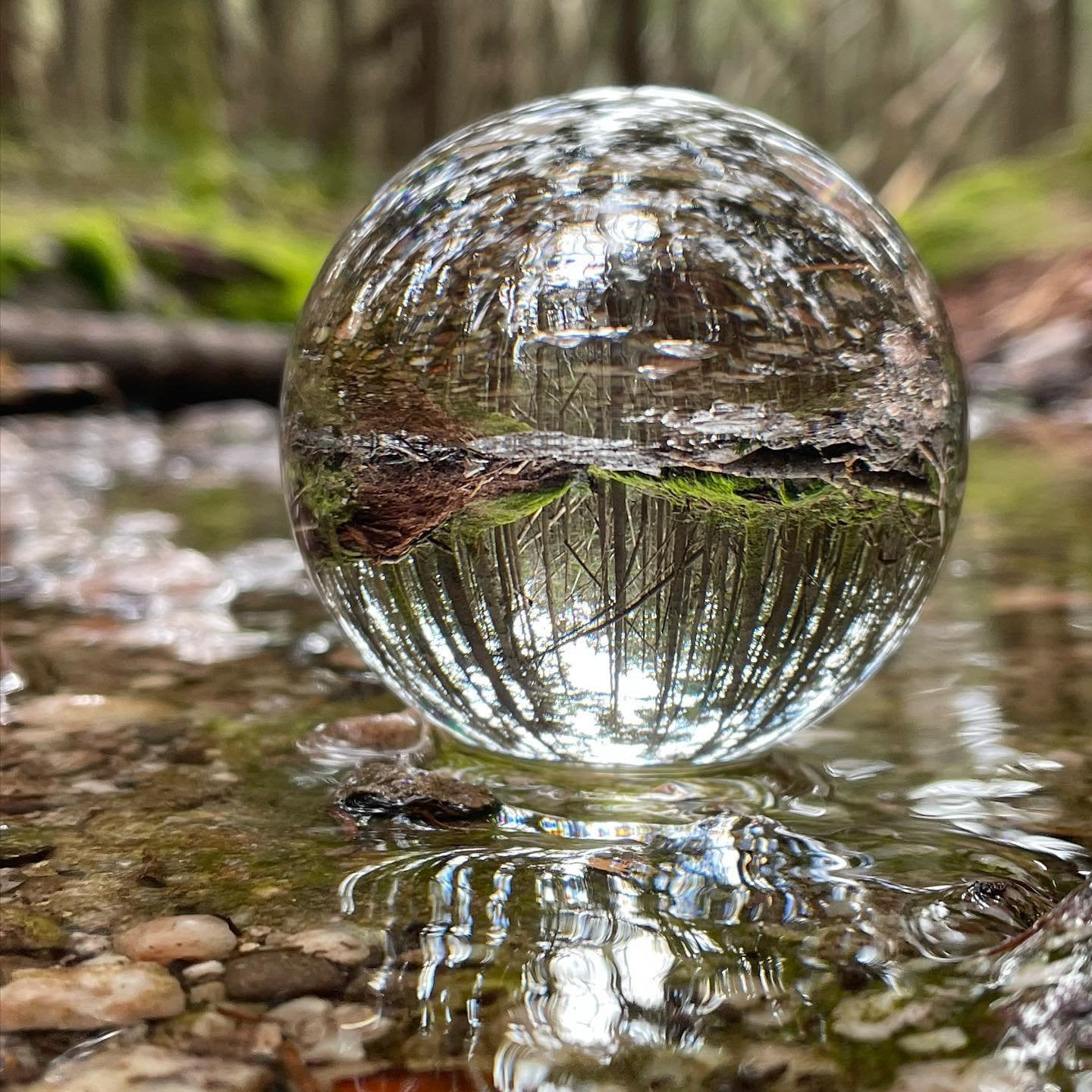 Lens Balls on Stream in the Forest Photo - Etsy