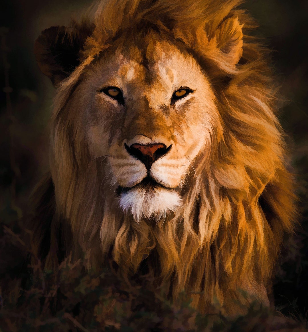 Lion King Portrait in the Wild Safari Animal Prints, Elephant Lion ...