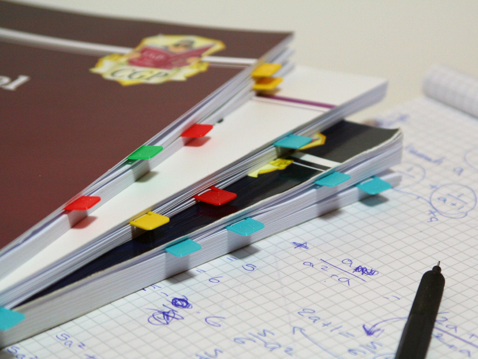 Reusable Page Markers pack of 10 Index Tabs Studying Gift Keep ...