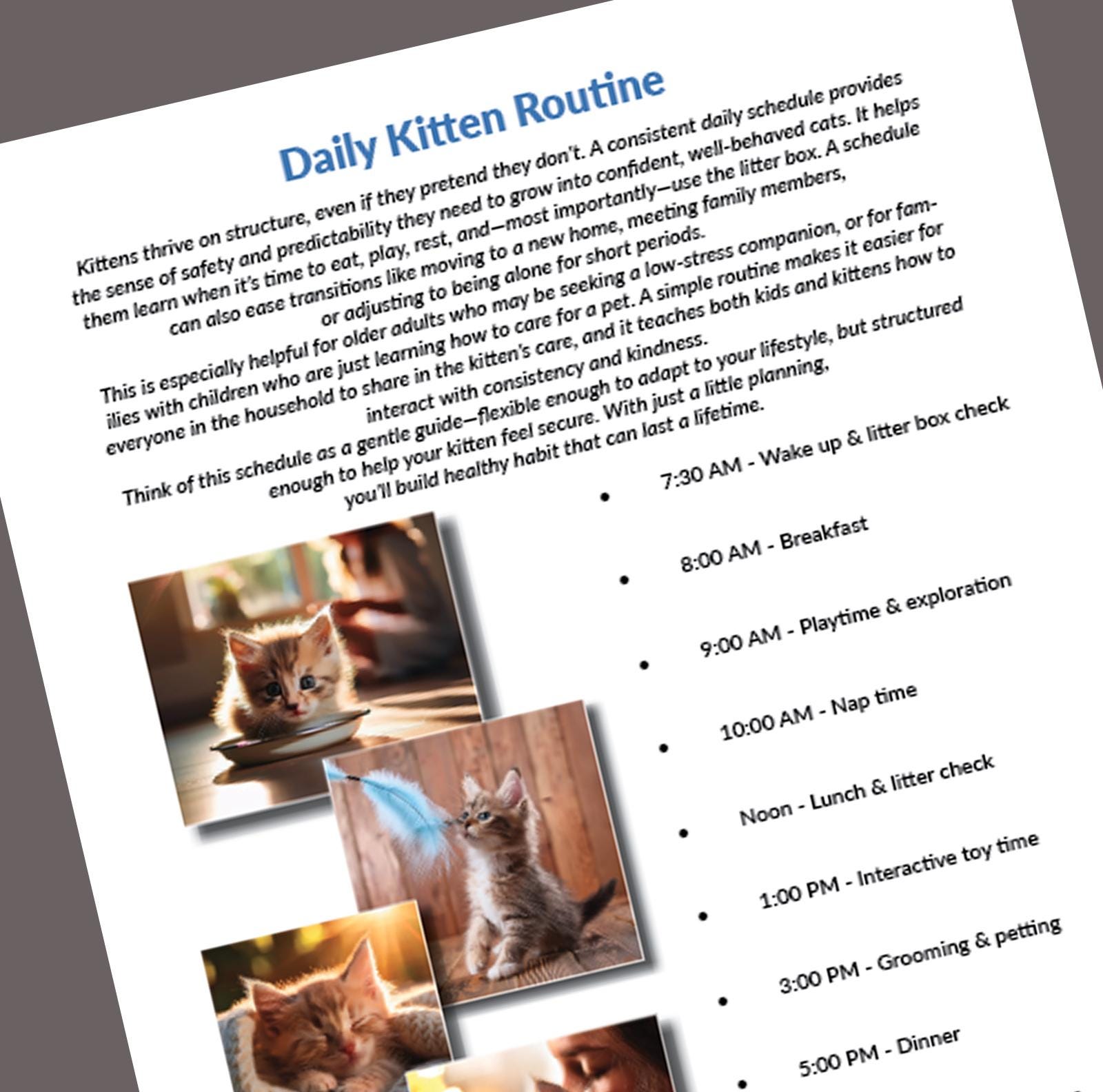 New Kitten Starter Kit: A Printable PDF Bundle - Etsy