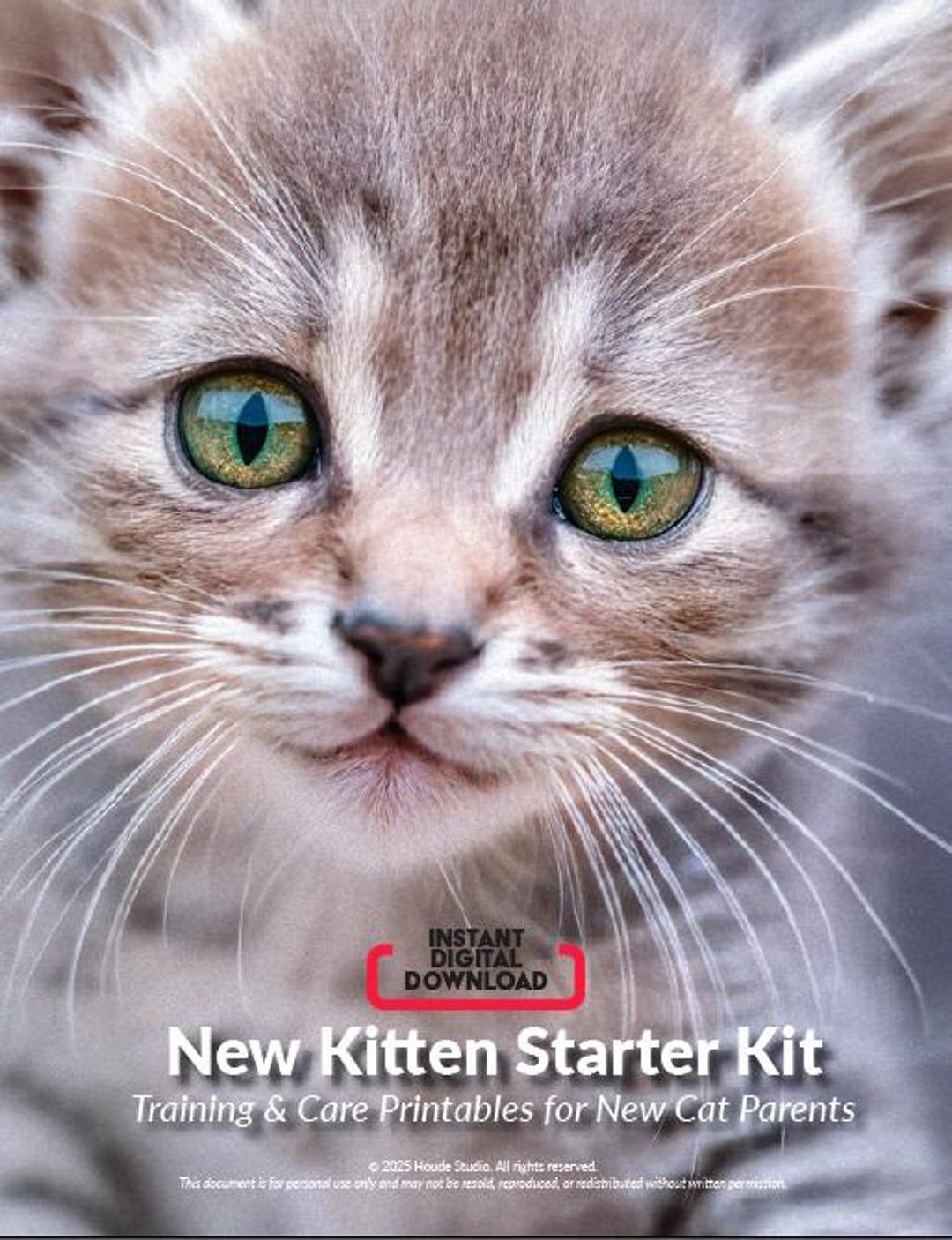New Kitten Starter Kit: A Printable PDF Bundle - Etsy