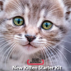 New Kitten Starter Kit: A Printable PDF Bundle - Etsy