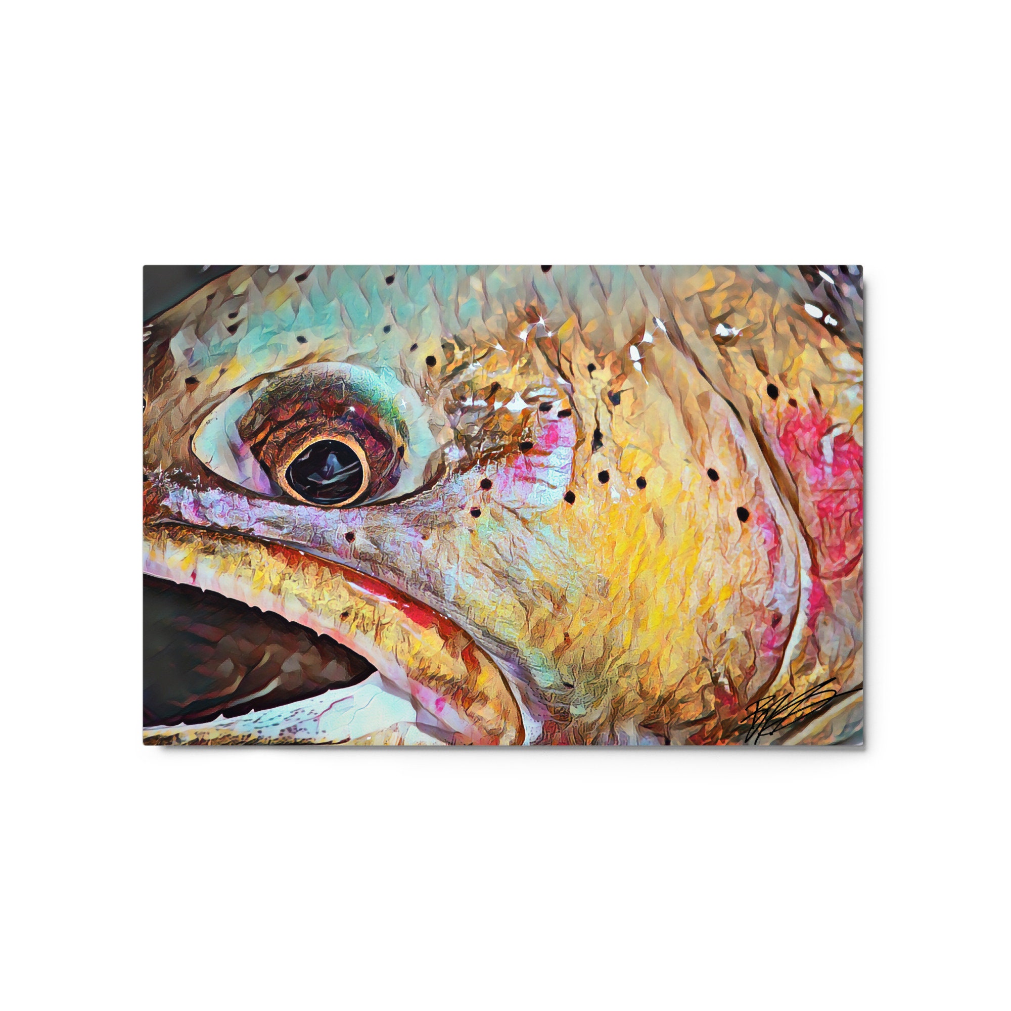 Cutthroat Trout Metal Fish Print Freshwater Fly Fishing Art - Etsy