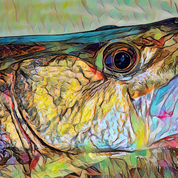 Saltwater Art - Etsy