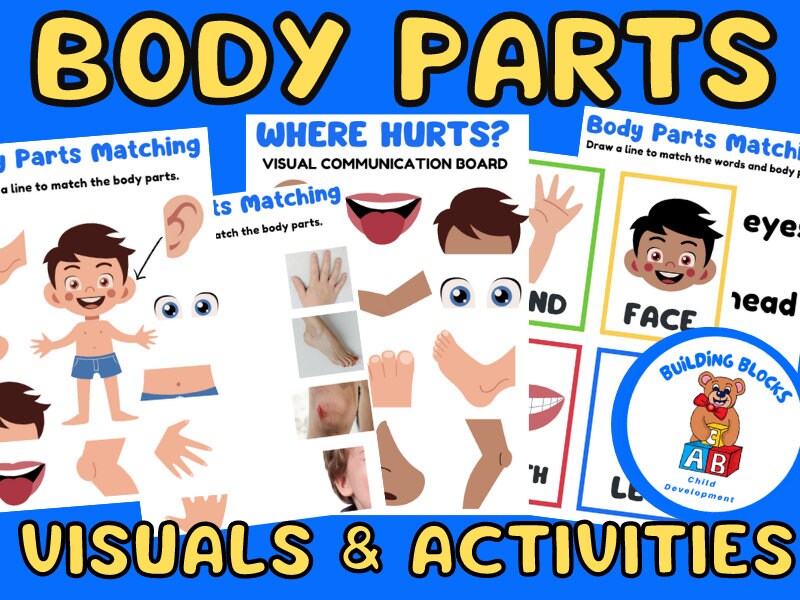 Body Parts Pack Activities Visual Cards Communication Board - Etsy