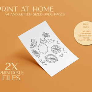 21 Printable Coloring Pages, Fruit Coloring Pages, Print at Home ...