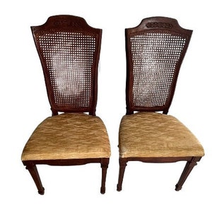 Rare Find Brand Basic Witz Cane Back Chair-antique Dining Chair-danish ...