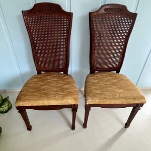 Rare Find Brand Basic Witz Cane Back Chair-antique Dining Chair-danish ...