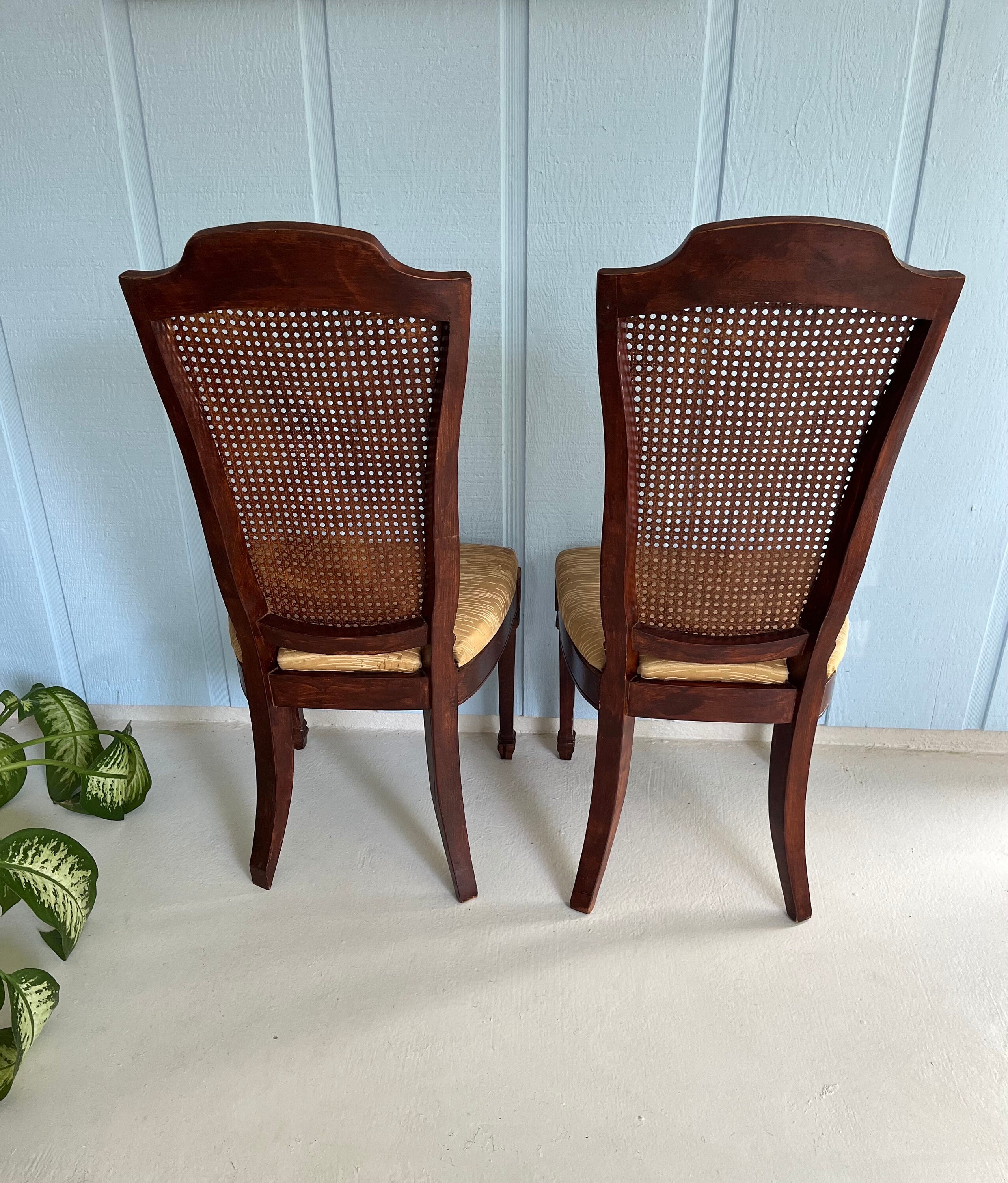 Rare Find Brand Basic Witz Cane Back Chair-antique Dining Chair-danish ...
