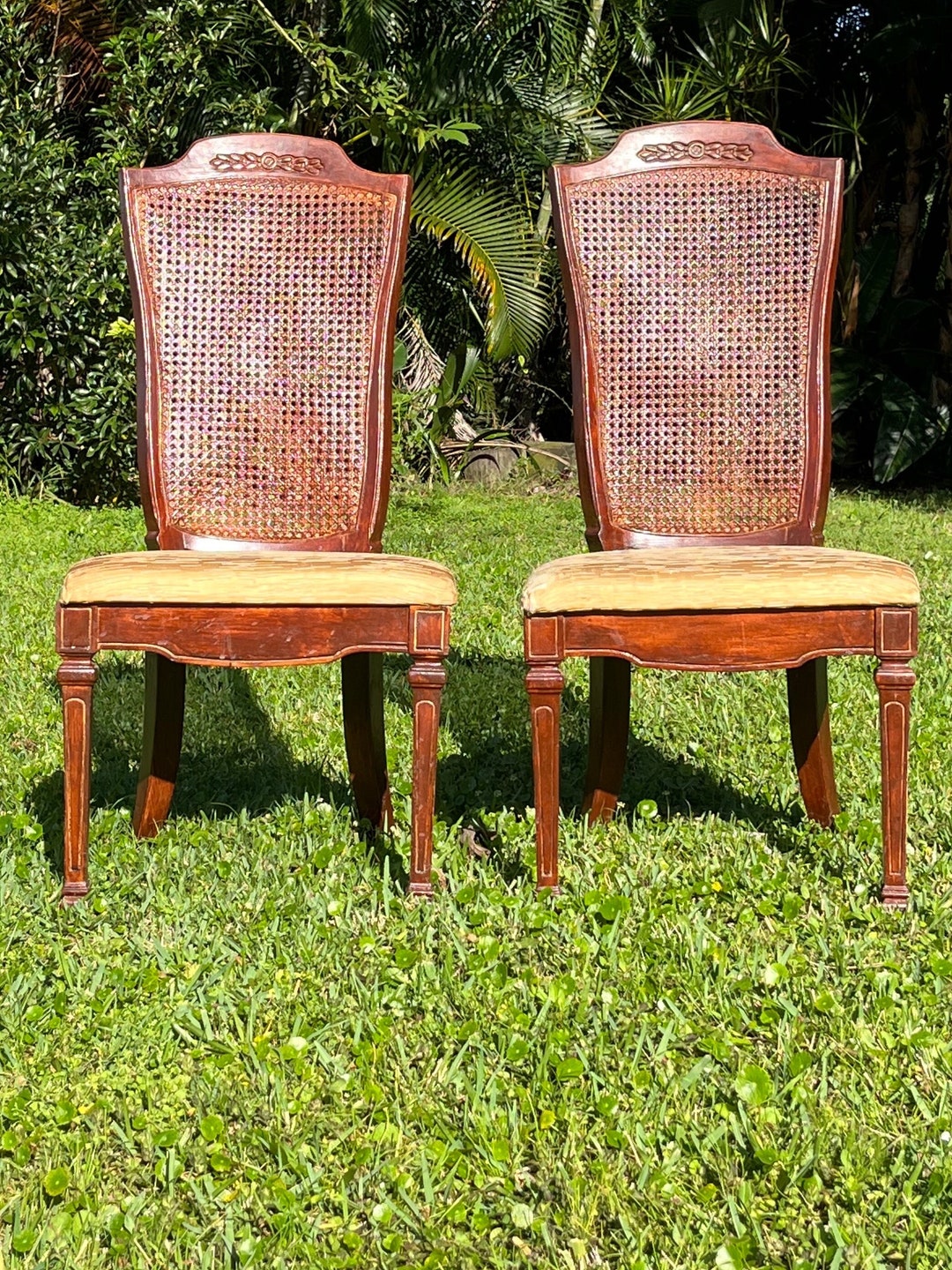 Pair of Cane Back Chairs by Basic Witz-vintage Dining Chairs-danish ...