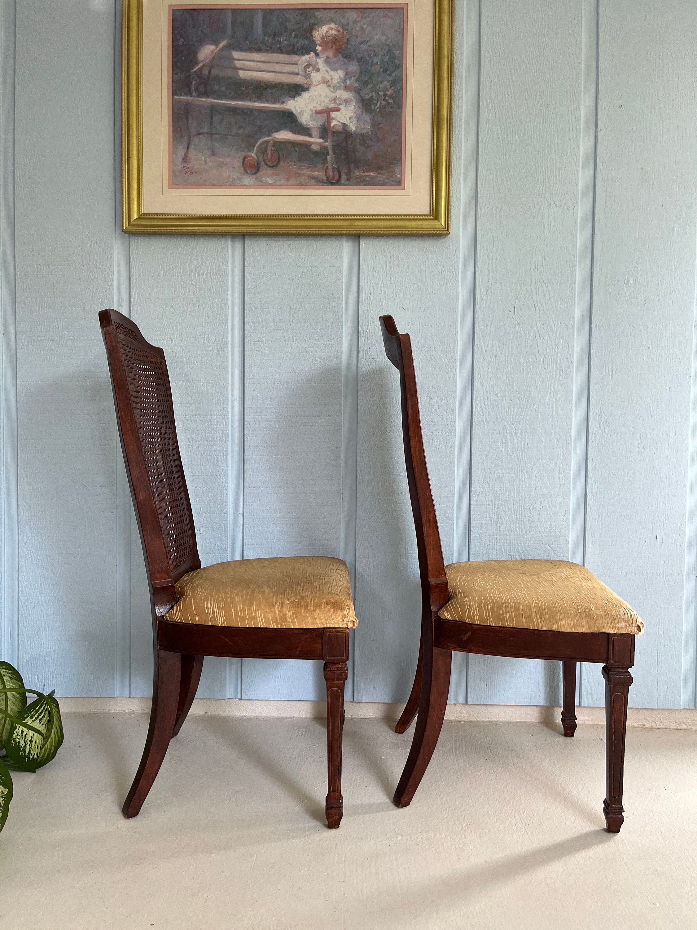 Rare Find Brand Basic Witz Cane Back Chair-antique Dining Chair-danish ...