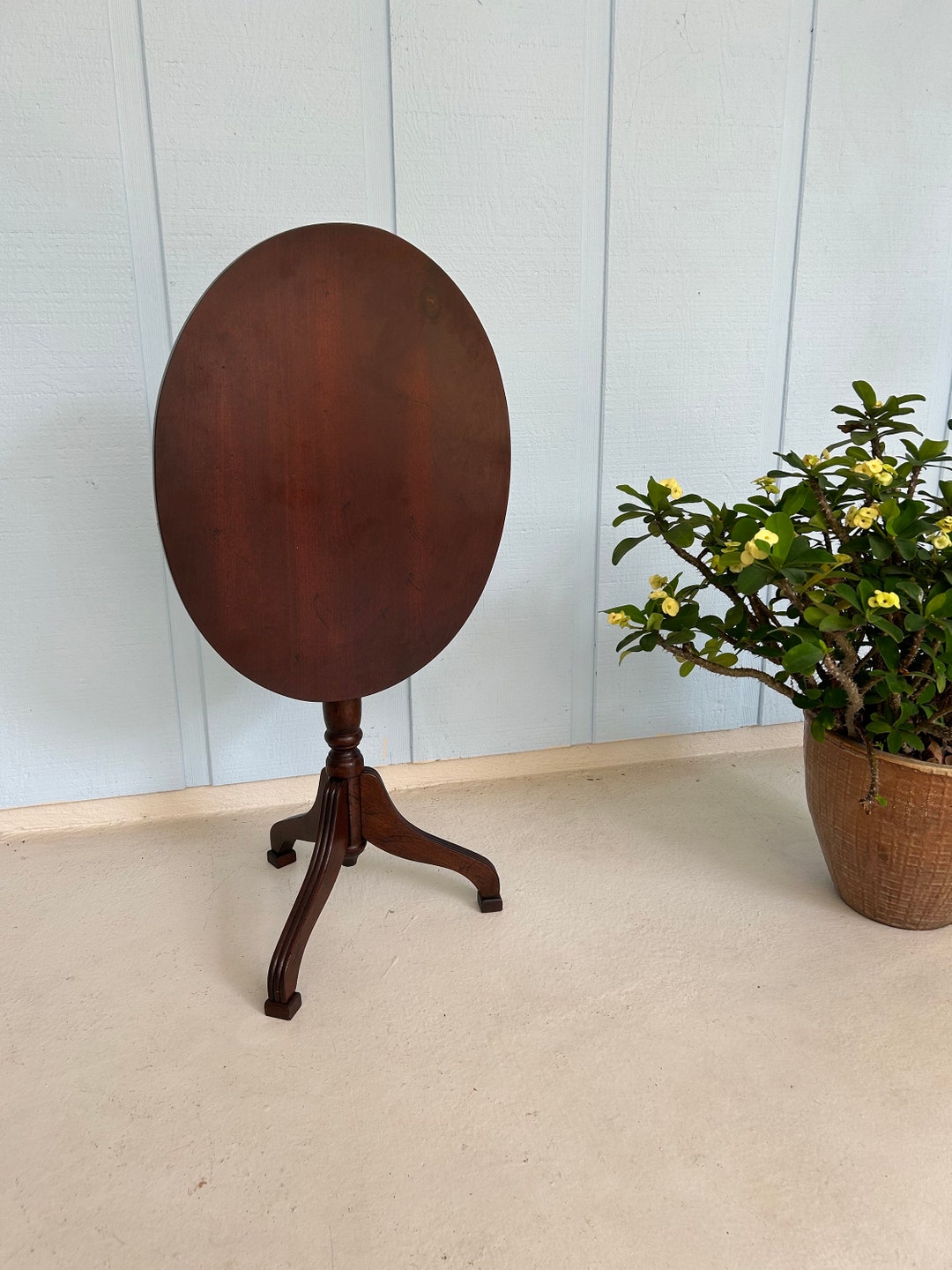 Oval Tilt Top Pedestal-petite Coffee Table-small Mahogany Side/end ...