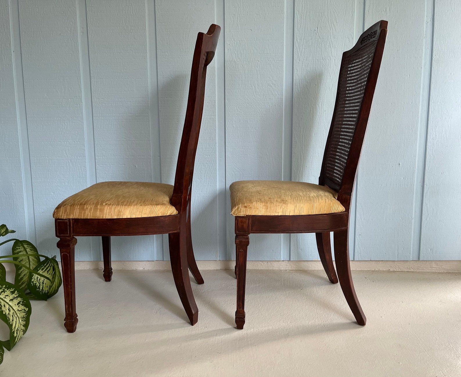 Rare Find Brand Basic Witz Cane Back Chair-antique Dining Chair-danish ...