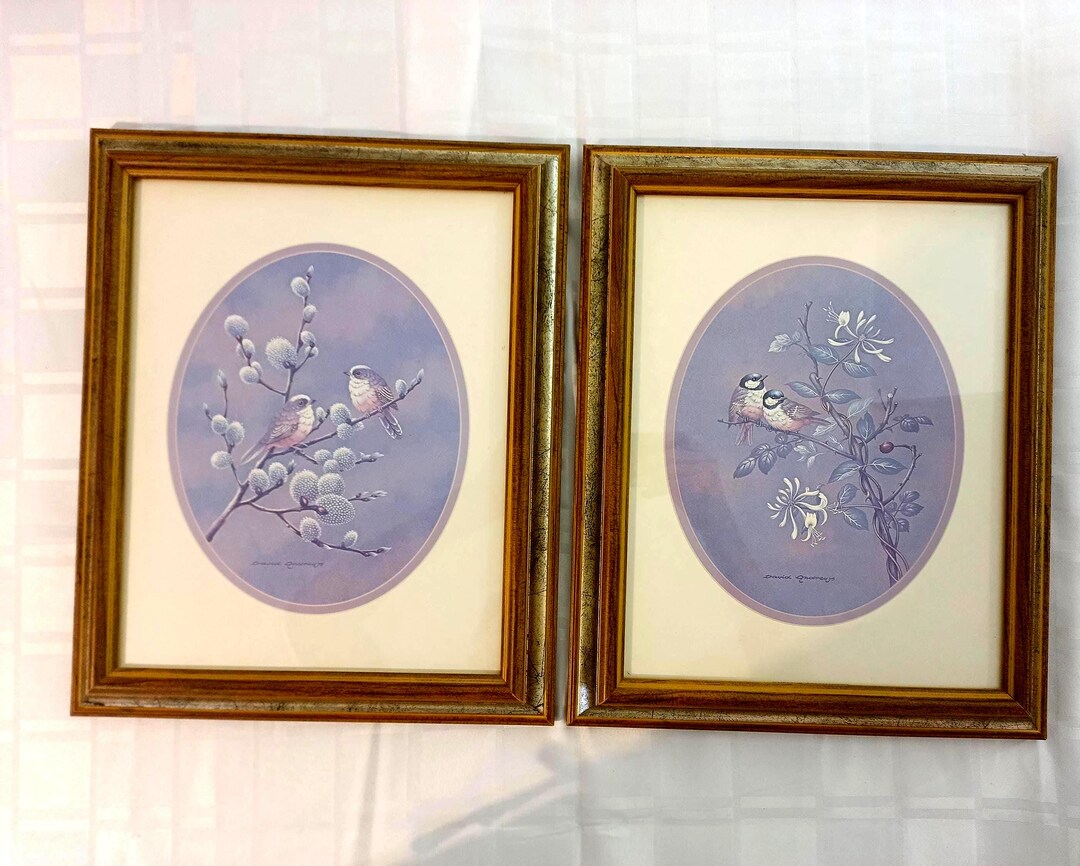 2 Vintage David Andrews Birds Paintings, Signed, in a Very Nice 17X12 ...