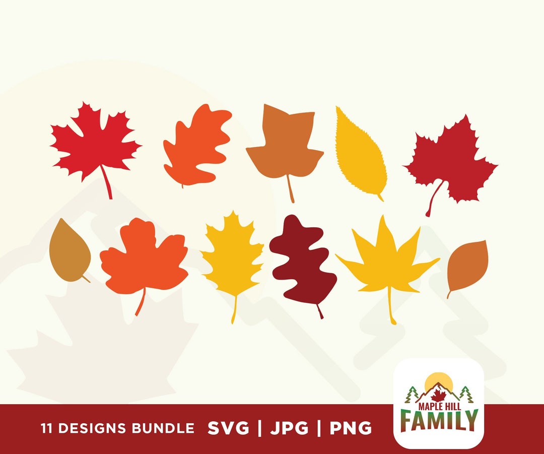 Fall Leaves Svg, Fall Leaf Svg Bundle, Fall Svg, Fall Png, Dxf, Clipart ...